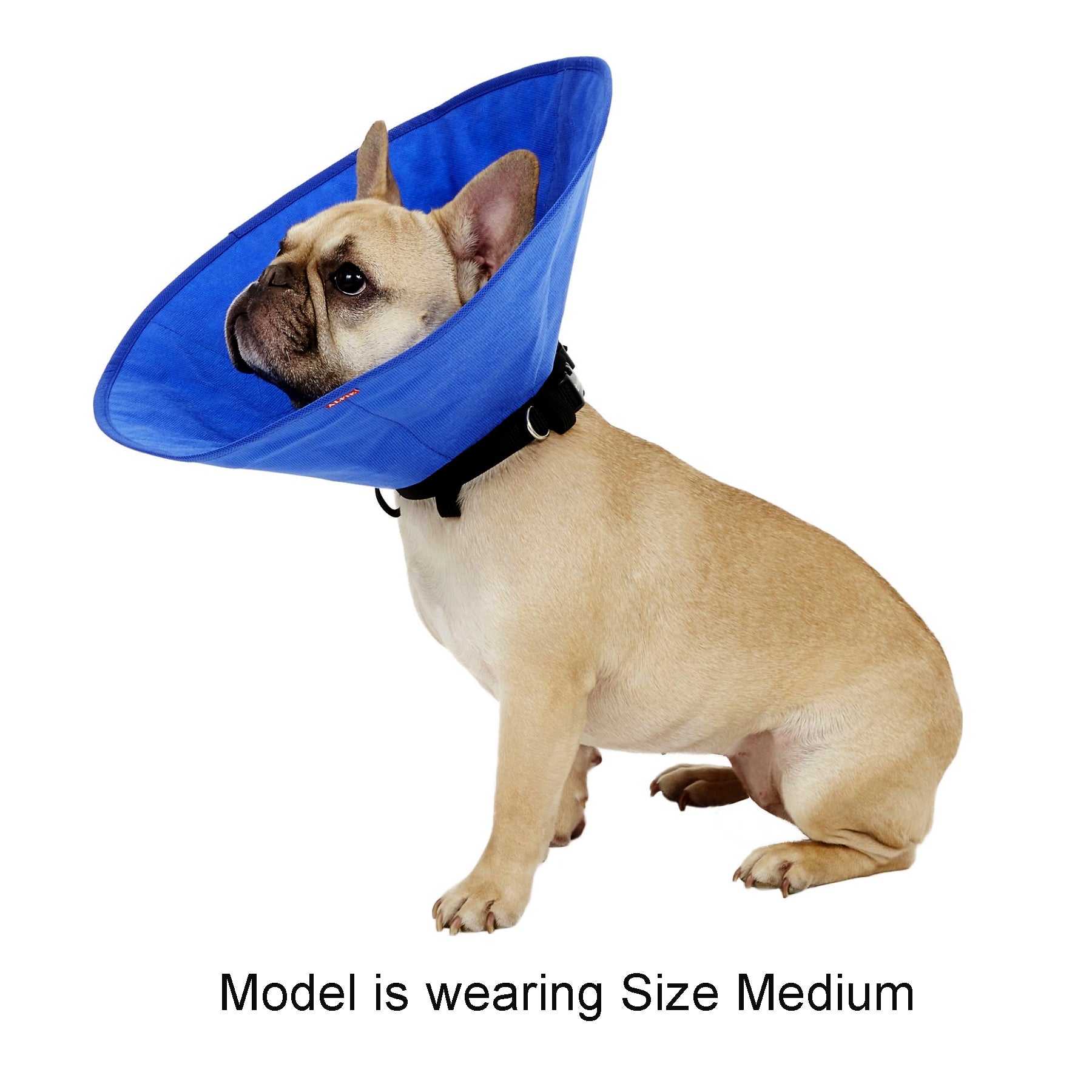 Cobalt Recovery Collar – Alfie Pet