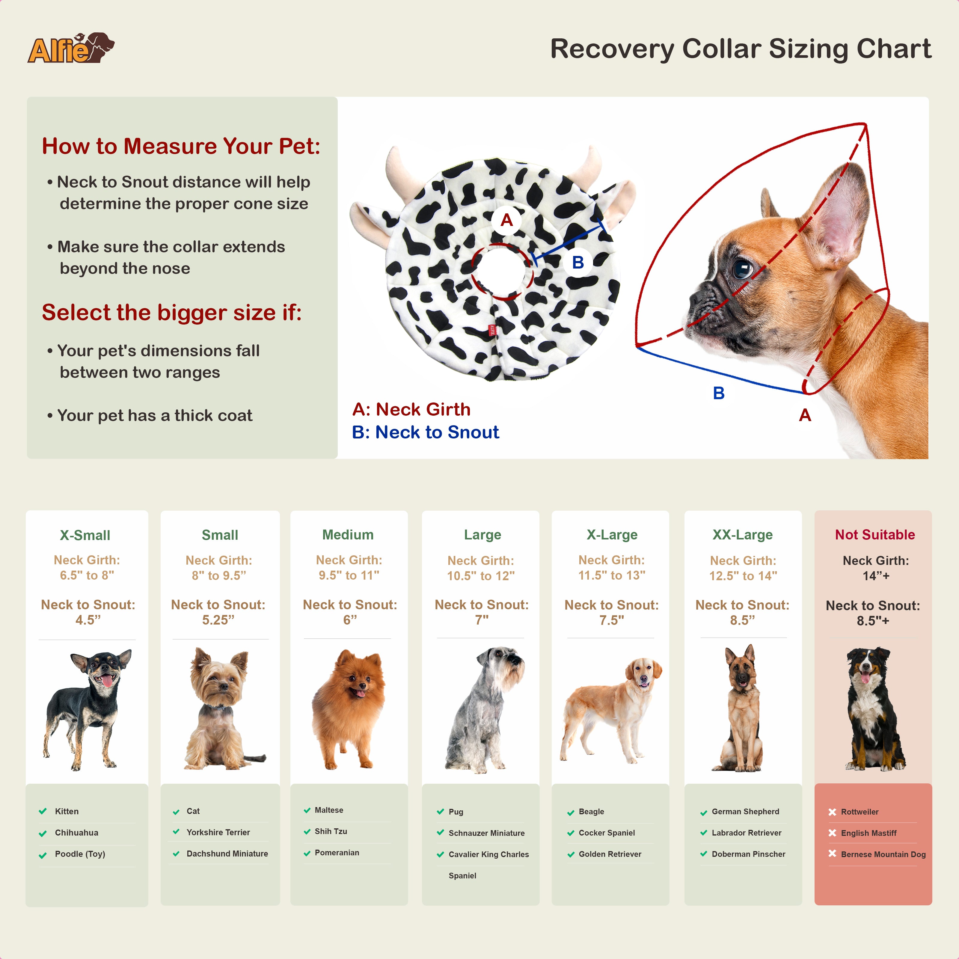 Noah Cow Recovery Collar – Alfie Pet