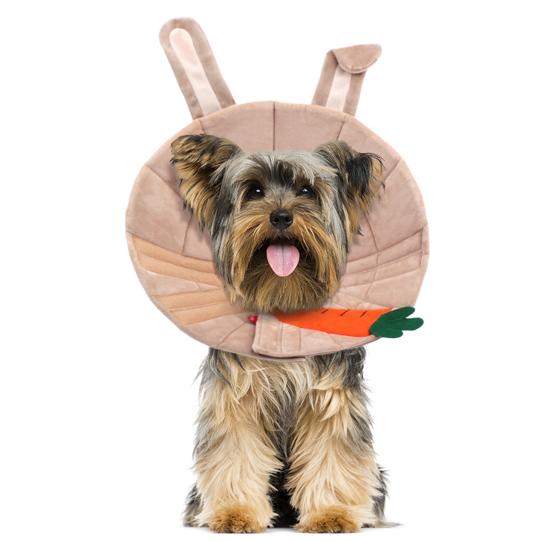 Noah Rabbit Recovery Collar – Alfie Pet