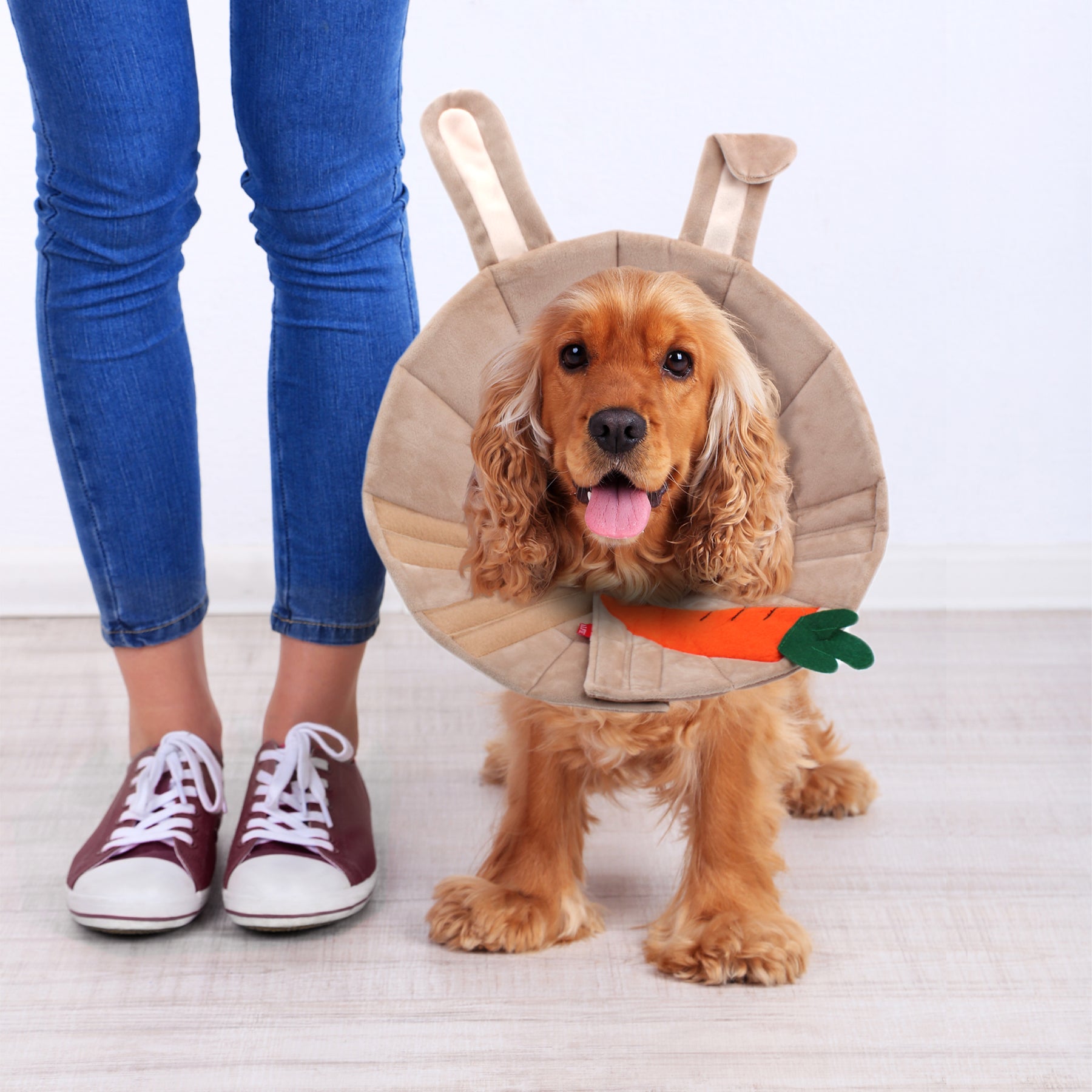 Noah Rabbit Recovery Collar – Alfie Pet